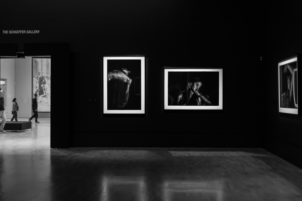 National Gallery of Victoria | Christina Hardcastle photography